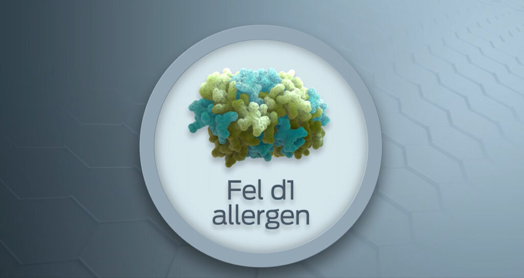 「猫アレルギーの皆さん、朗報ですよ！」の話 - 南大阪動物医療センター